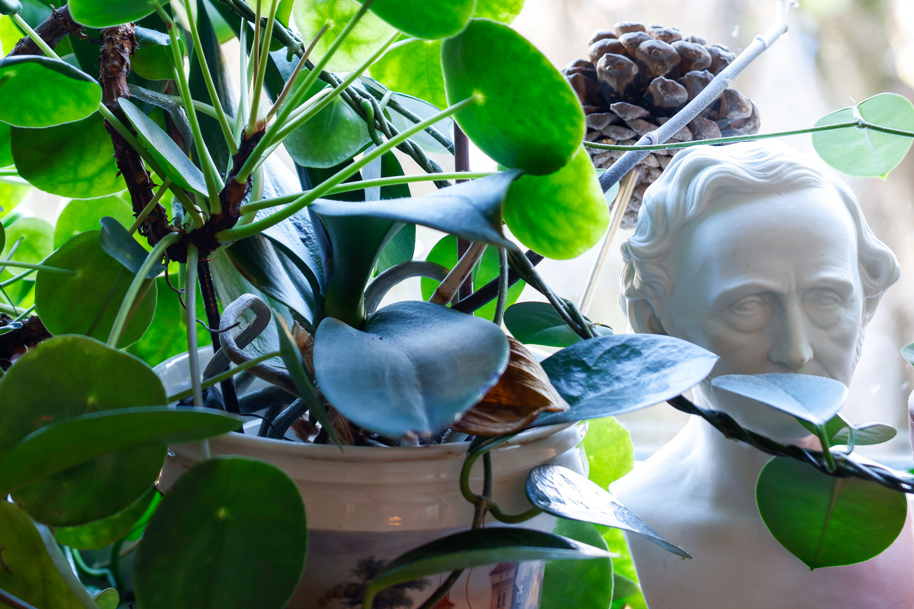 TEST: Canon EOS R5 IBIS High-Resolution Shooting - FOTOMAG